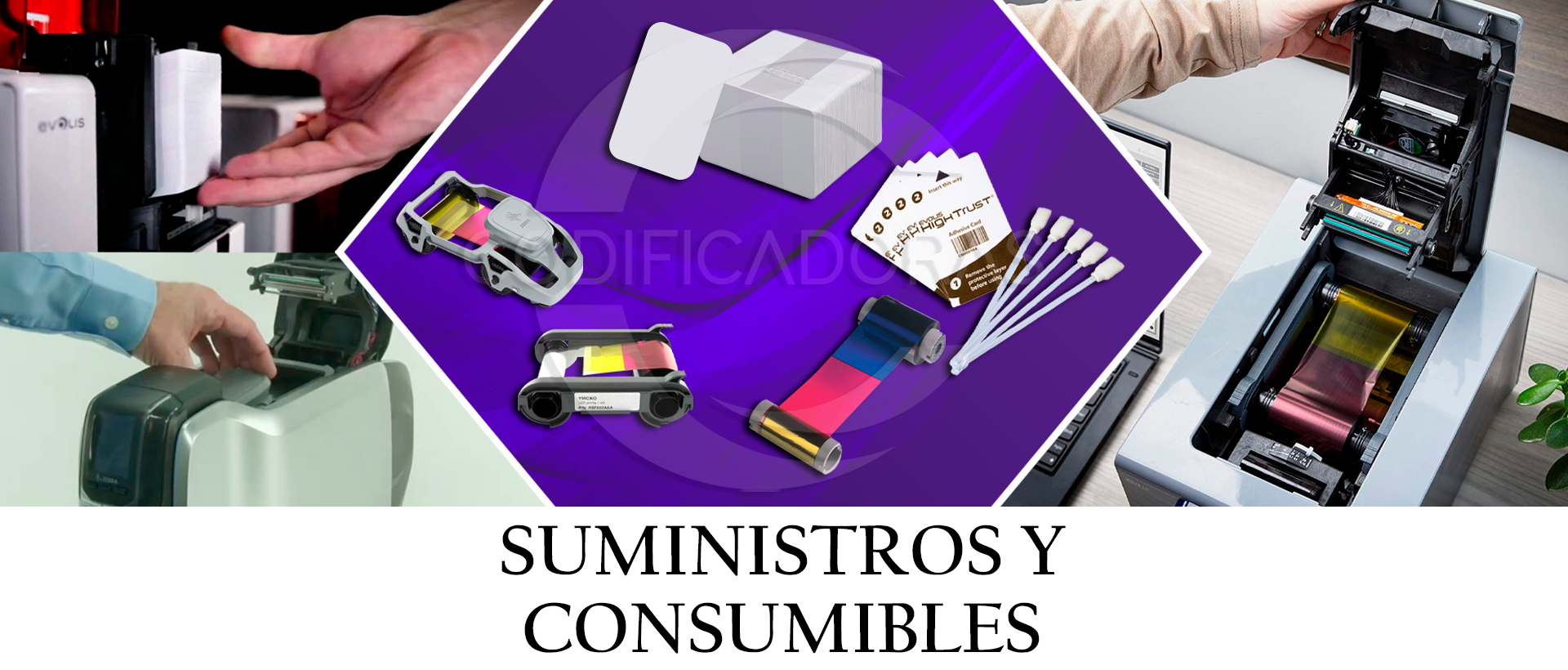 Inicio - Codificadoras